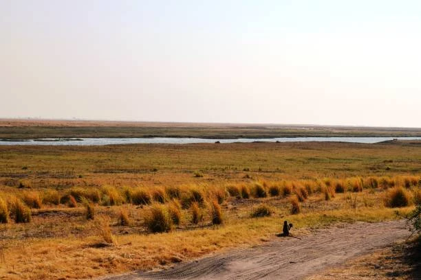 Explore Ati, Chad: Culture and Nature Await - HECT India | Top Travel ...