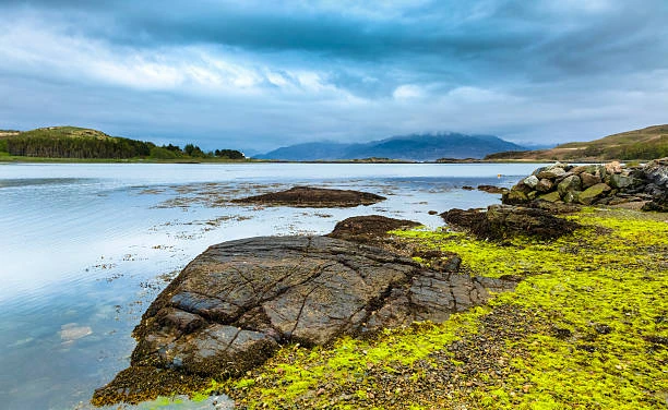 Discover Stronsay, Orkney - A Hidden Scottish Gem - HECT India | Top ...